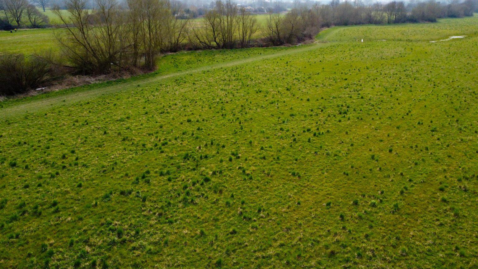 An aerial view of a vast green field, spanning 4 acres of land with ...